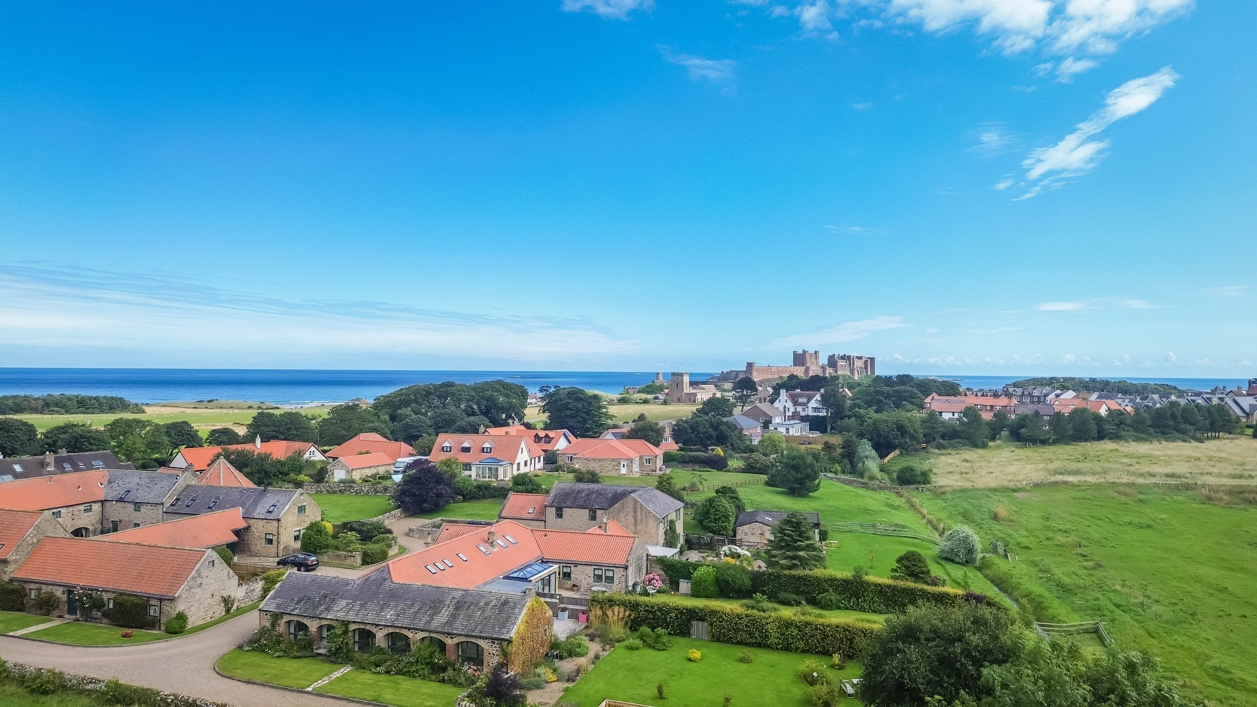 SY SPOTLIGHT - Time to Right-Size | Sanderson Young