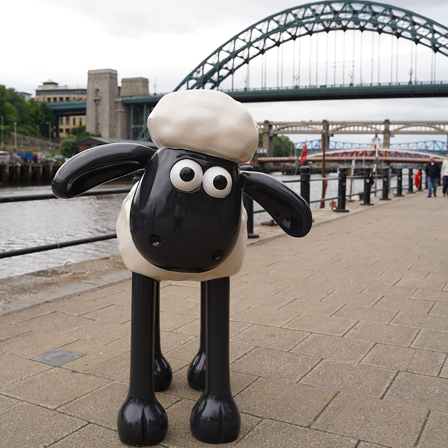SY RECOMMENDS - Shaun on the Tyne | Sanderson Young