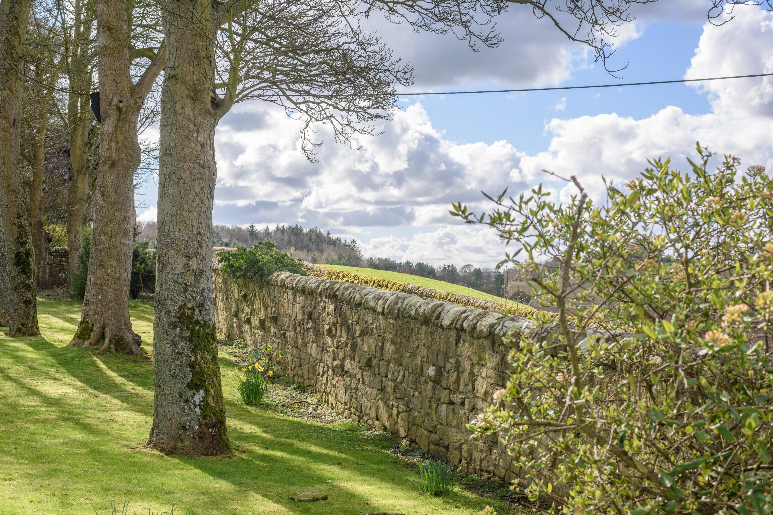 SY Spotlight - A selection of some of our finest country homes ...