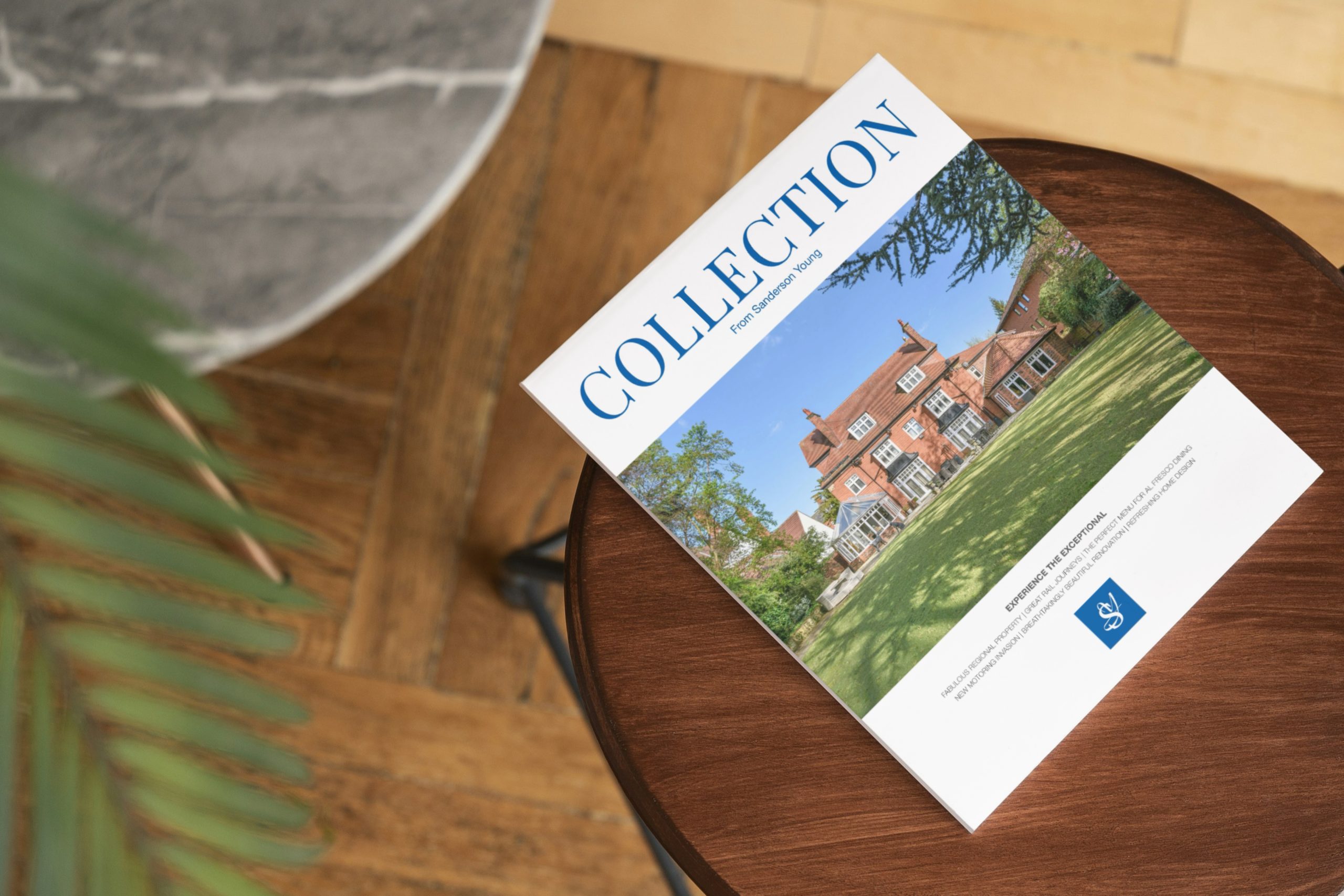 OUT NOW! | Sanderson Young