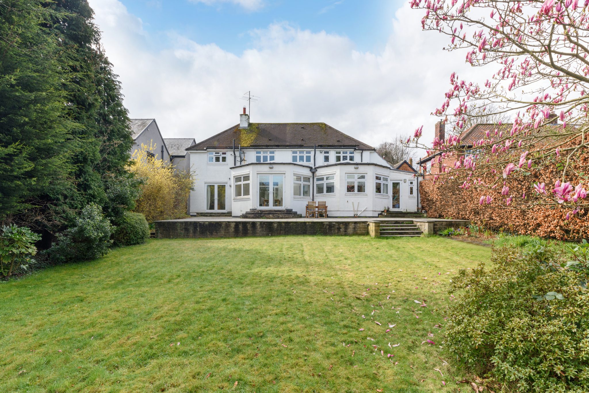 SY Spotlight - The Suburban Life | Sanderson Young